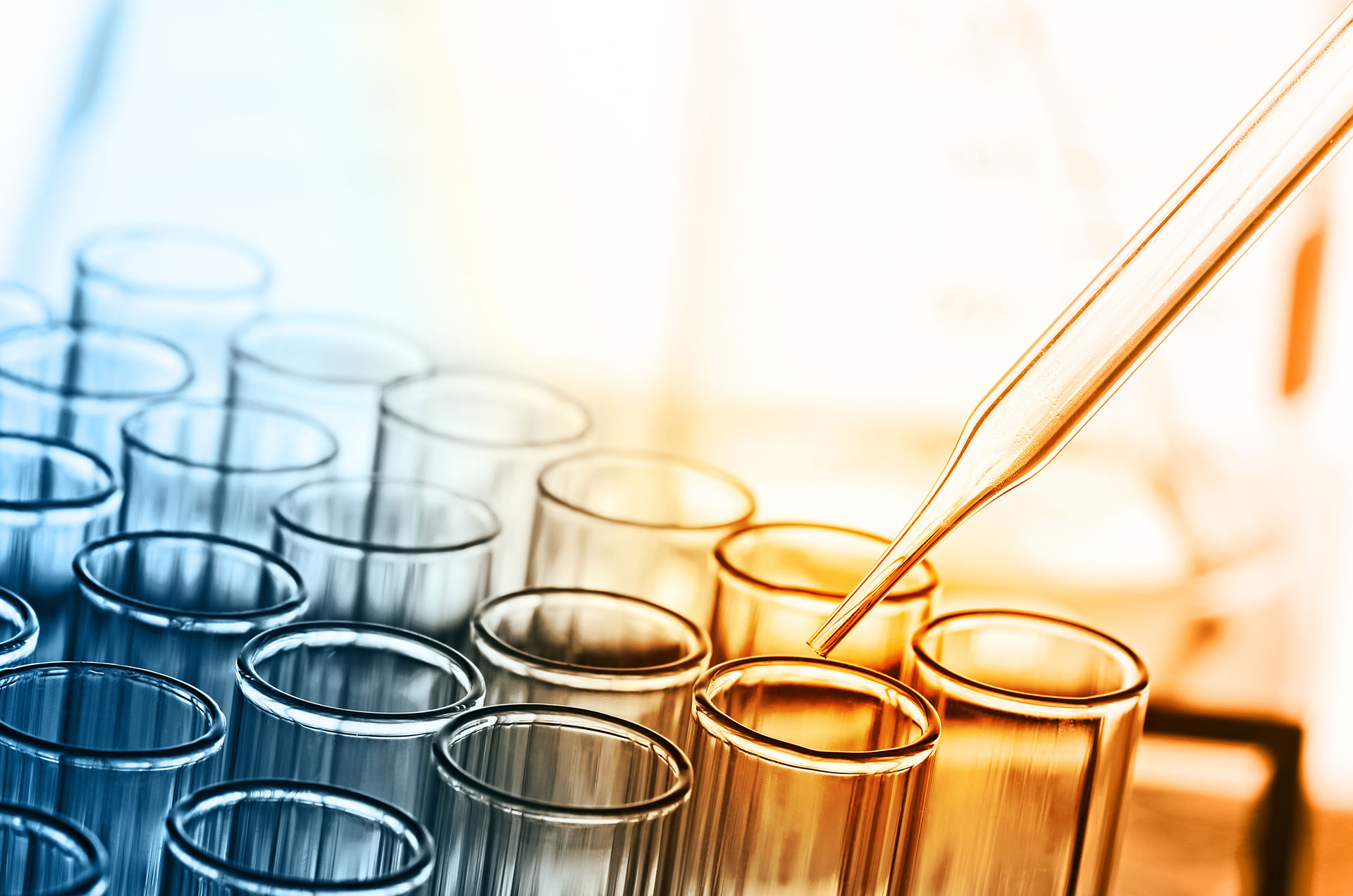 Moroy Laboratory – Research Unit on Hematopoiesis and cancer